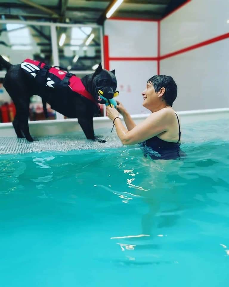 Schedule online with Red Rover Dog Fun Pool on Booking.page