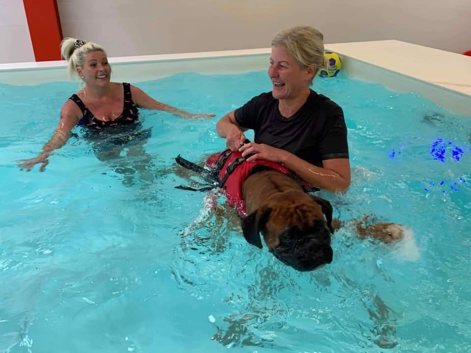 Schedule online with Red Rover Dog Fun Pool on Booking.page
