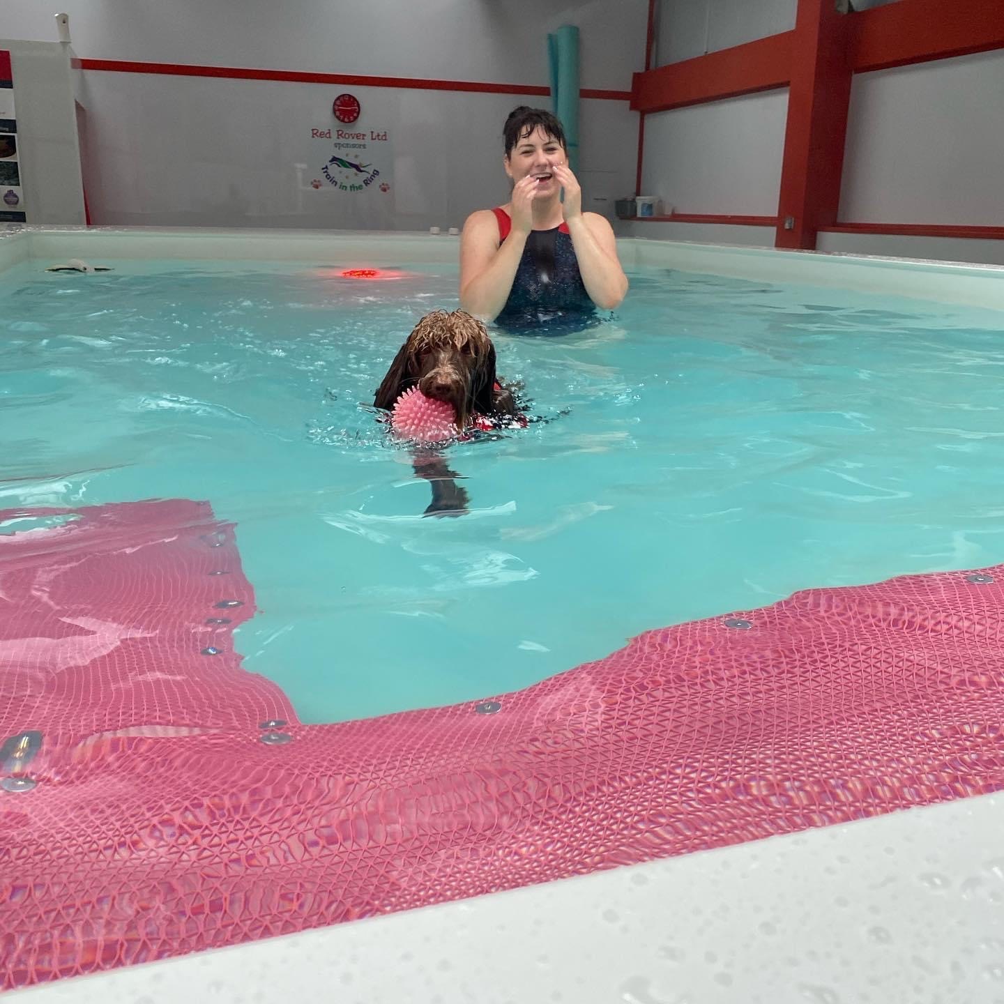 Schedule online with Red Rover Dog Fun Pool on Booking.page