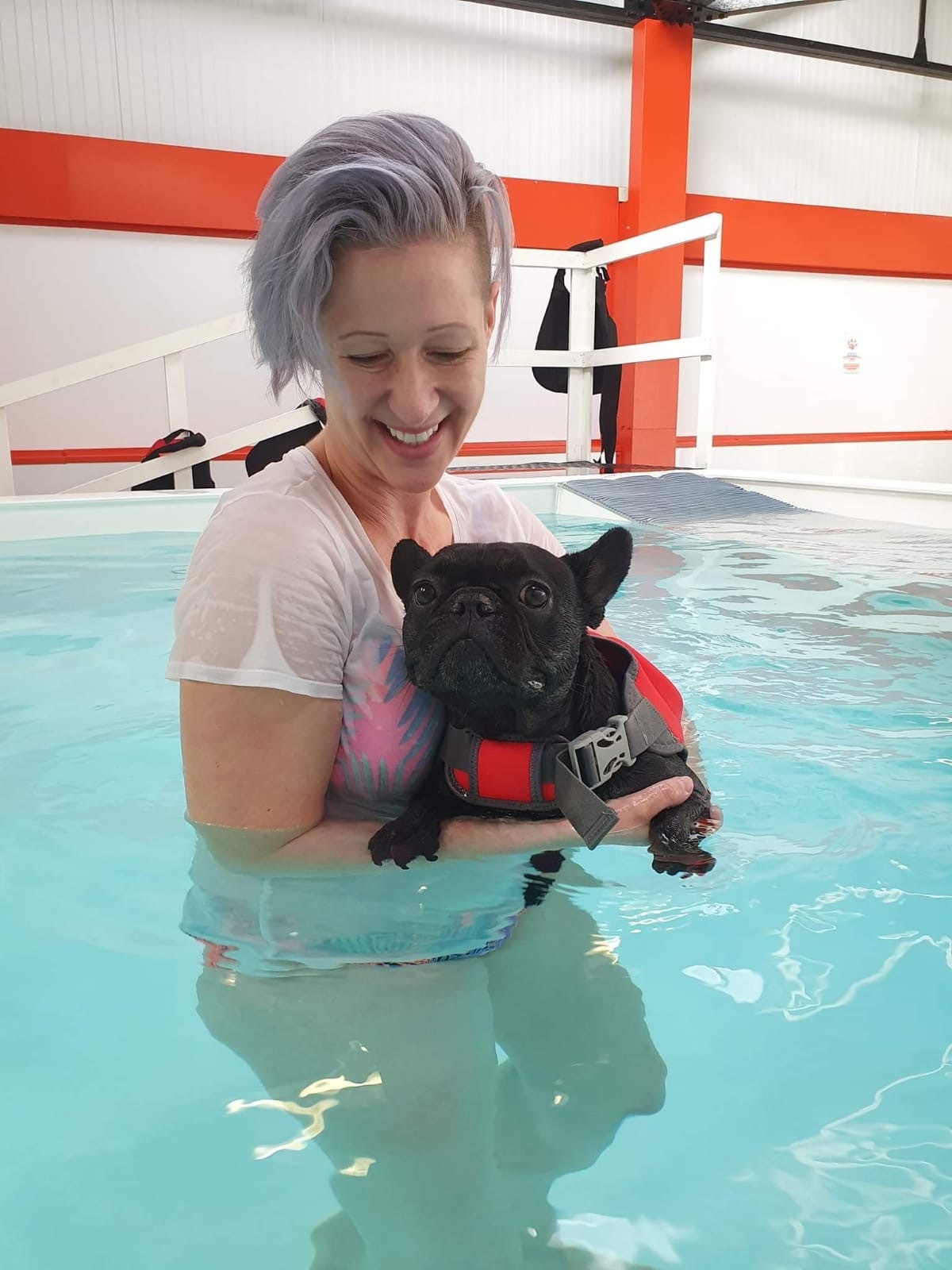 Schedule online with Red Rover Dog Fun Pool on Booking.page