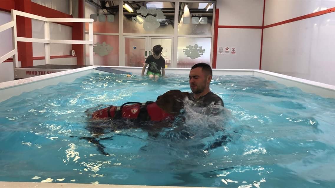 Schedule online with Red Rover Dog Fun Pool on Booking.page