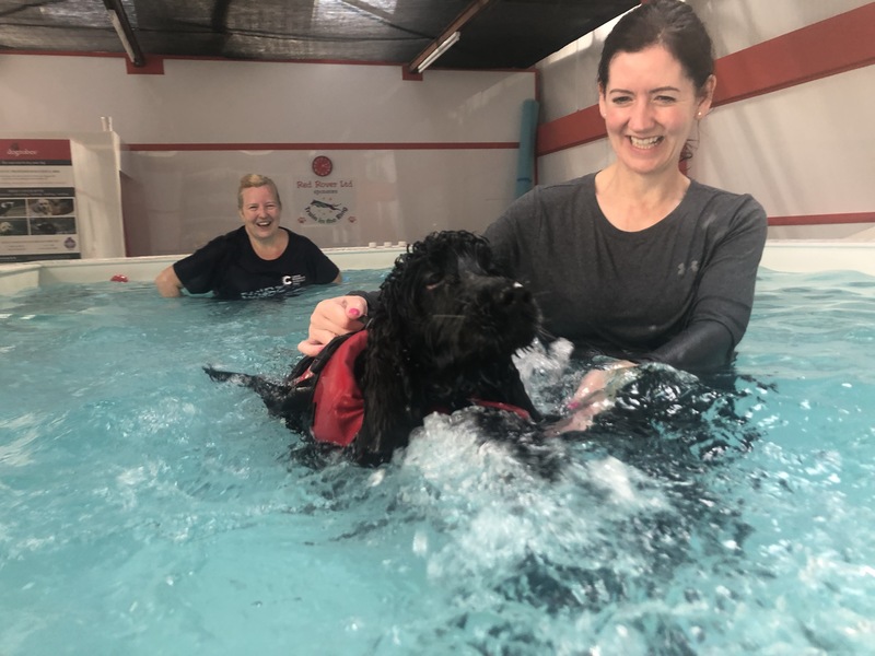 Schedule online with Red Rover Dog Fun Pool on Booking.page