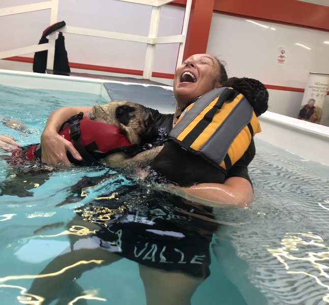 Schedule online with Red Rover Dog Fun Pool on Booking.page