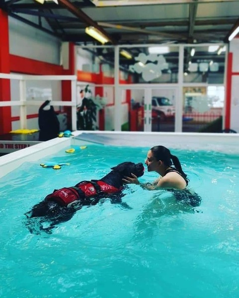 Schedule online with Red Rover Dog Fun Pool on Booking.page