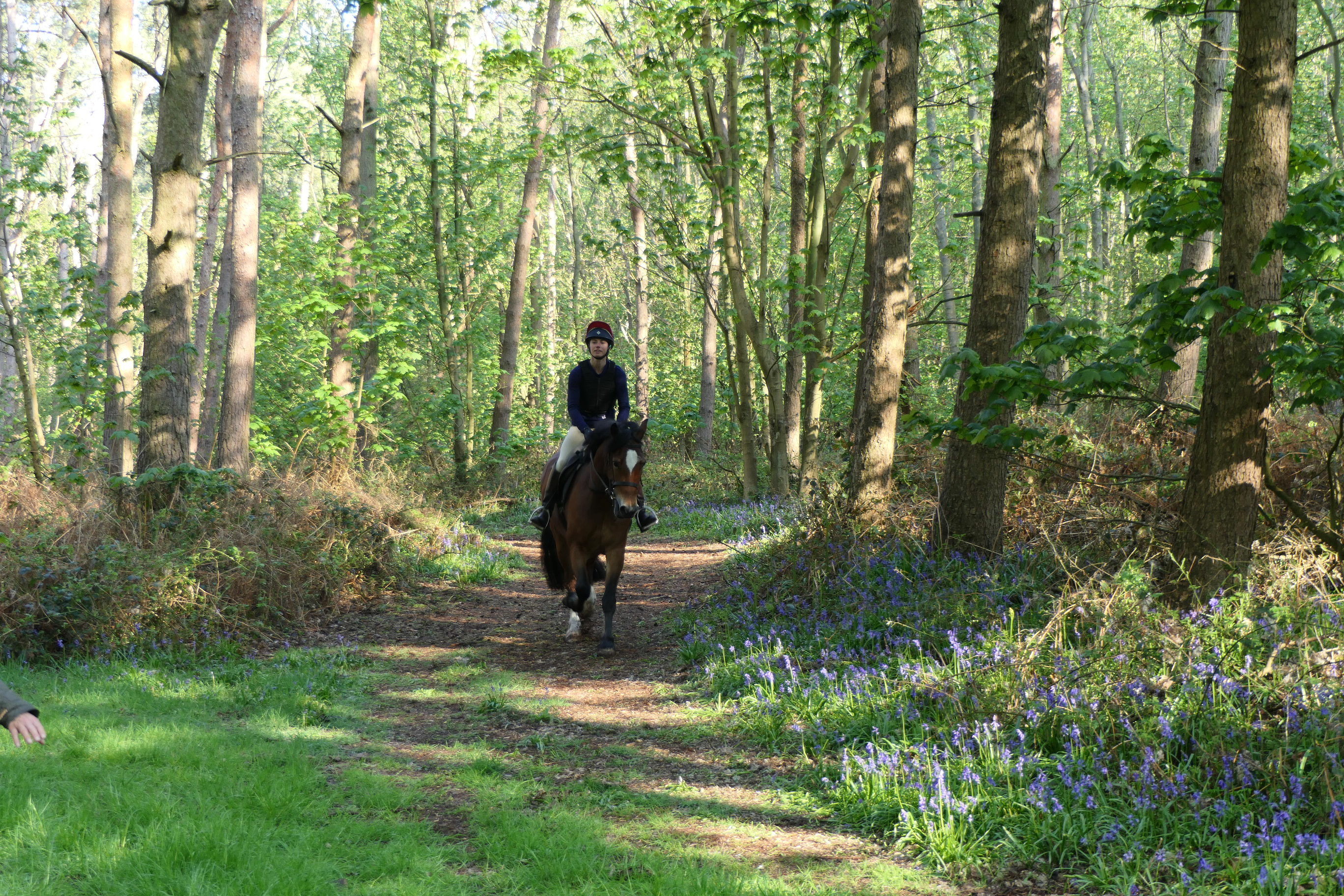 Schedule online with Rycote Cross Country on Booking.page