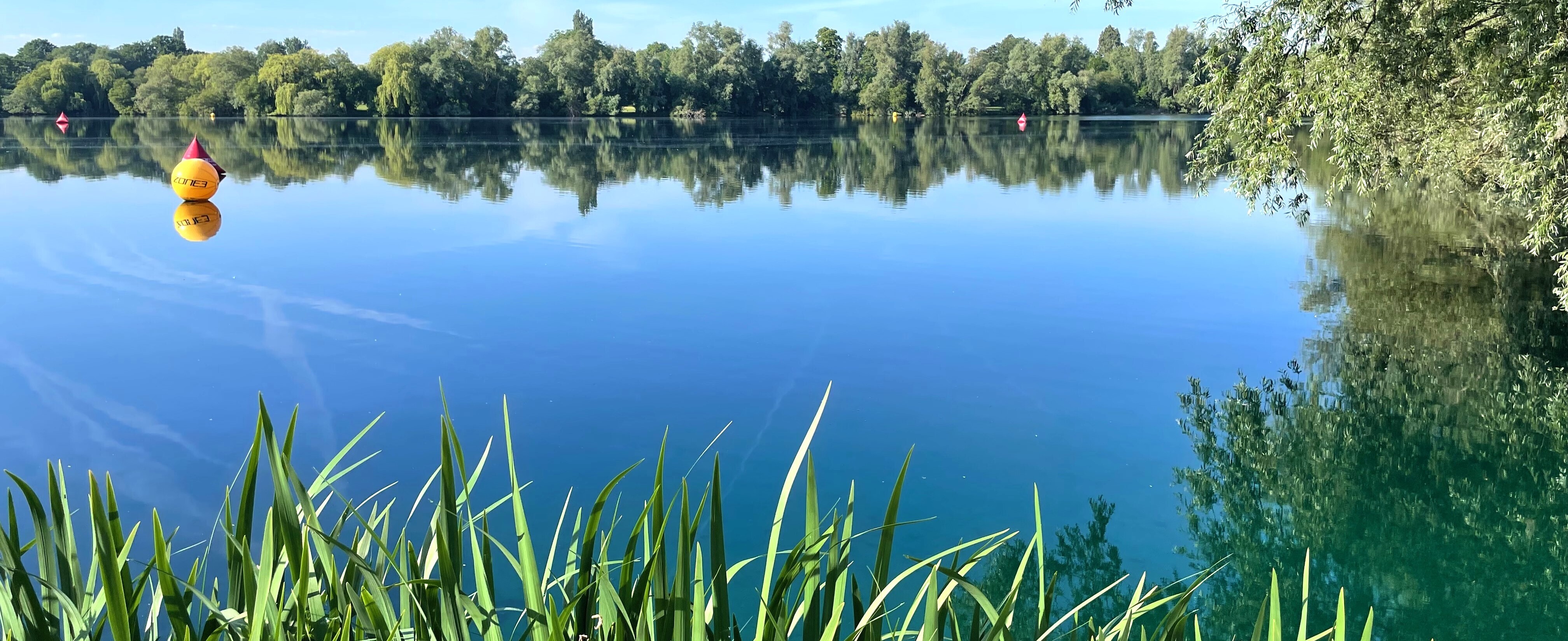 Schedule online with Shepperton Open Water Swim on Booking.page